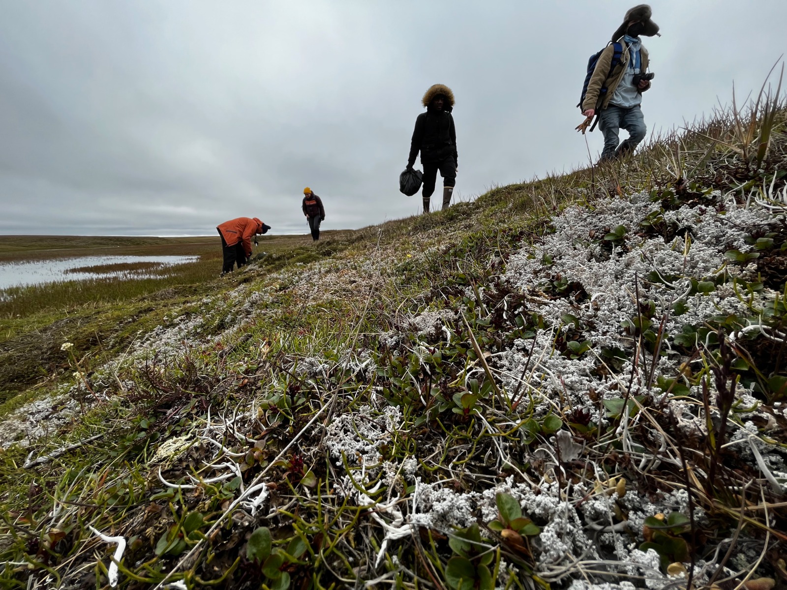 Field trip 2022 – Lutzoni Lab