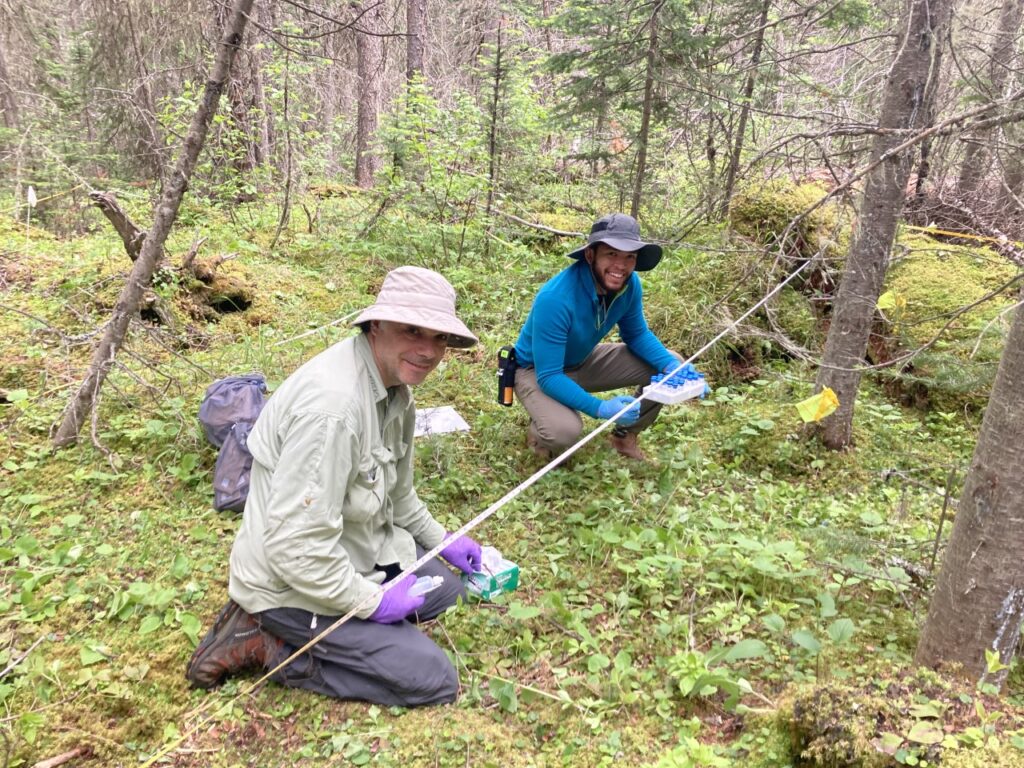 2022-07: Peltigera fieldwork in Alberta – Lutzoni Lab