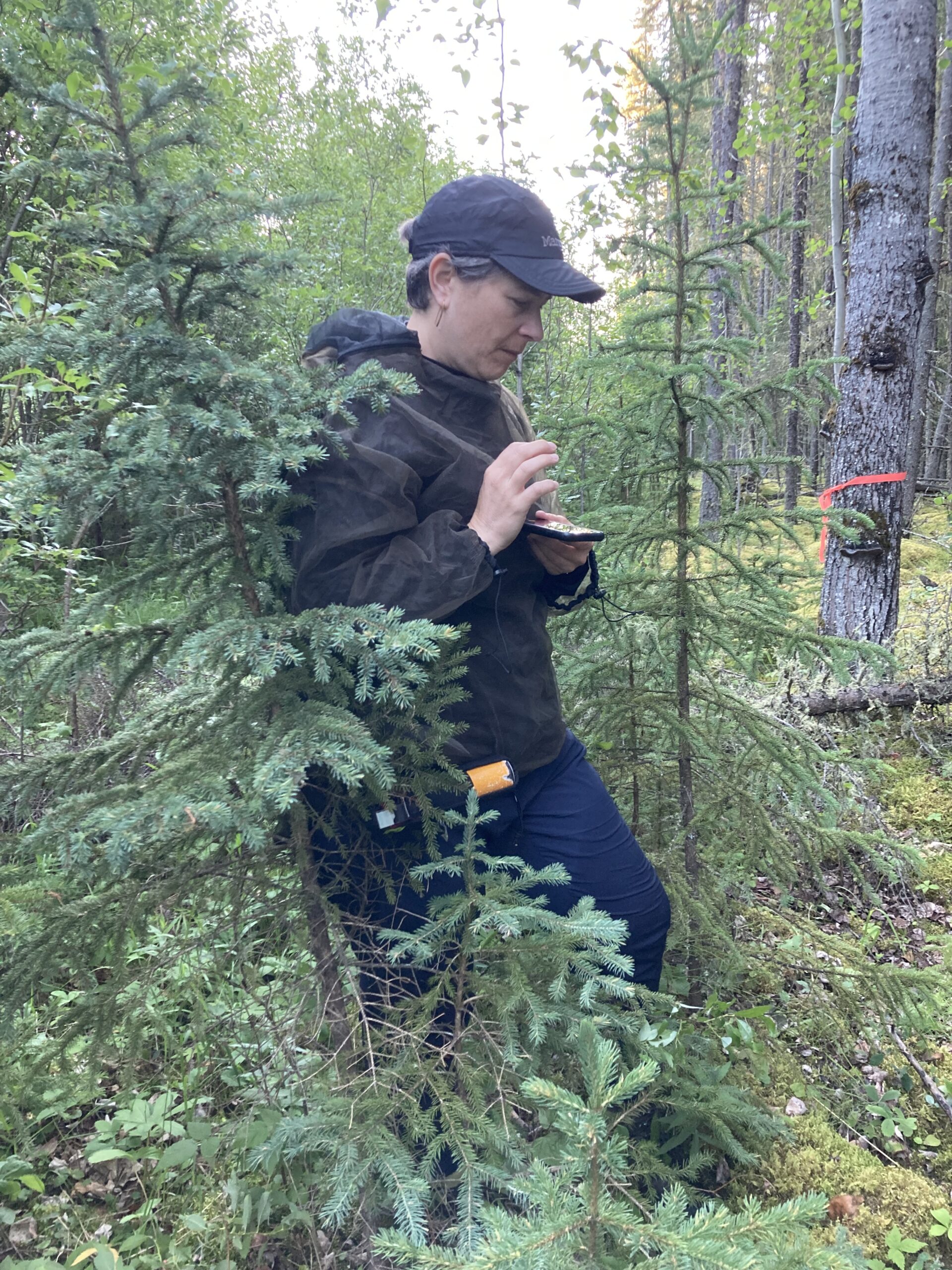 Fieldwork – Lutzoni Lab